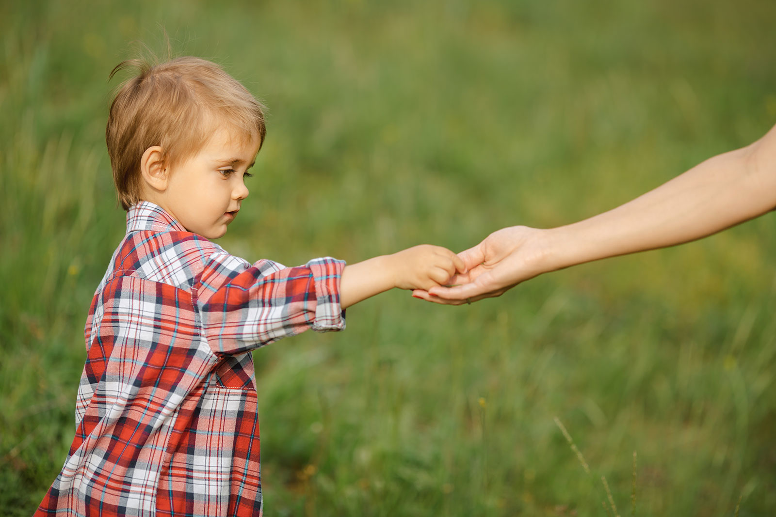 Foster Carers | Childcare Law Services | Mulligan Solicitors